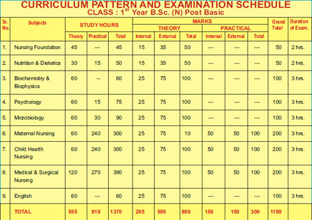 Post Basic B.Sc. Nursing | SGL Nursing College, Jalandhar, provides ...